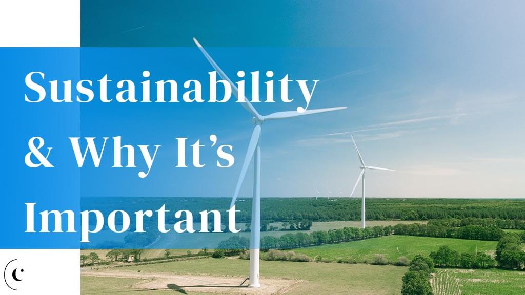 What is sustainability and why is it important? - Complex Creative